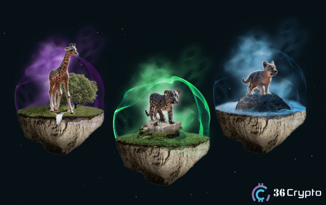 NFT Shopping List: TOP 5 Cheapest NFTs to Buy on OpenSea - 36Crypto